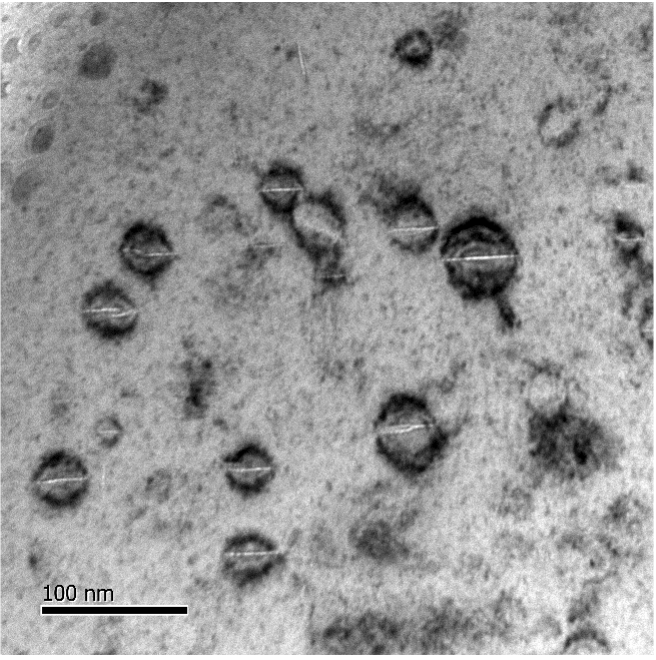 New Fuel for Advanced Nuclear Technologies - Henry Royce Institute