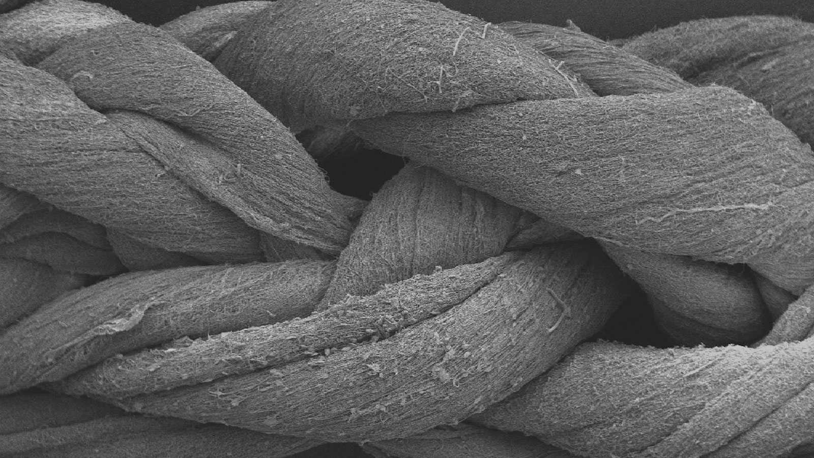 Biomedical Materials - Henry Royce Institute