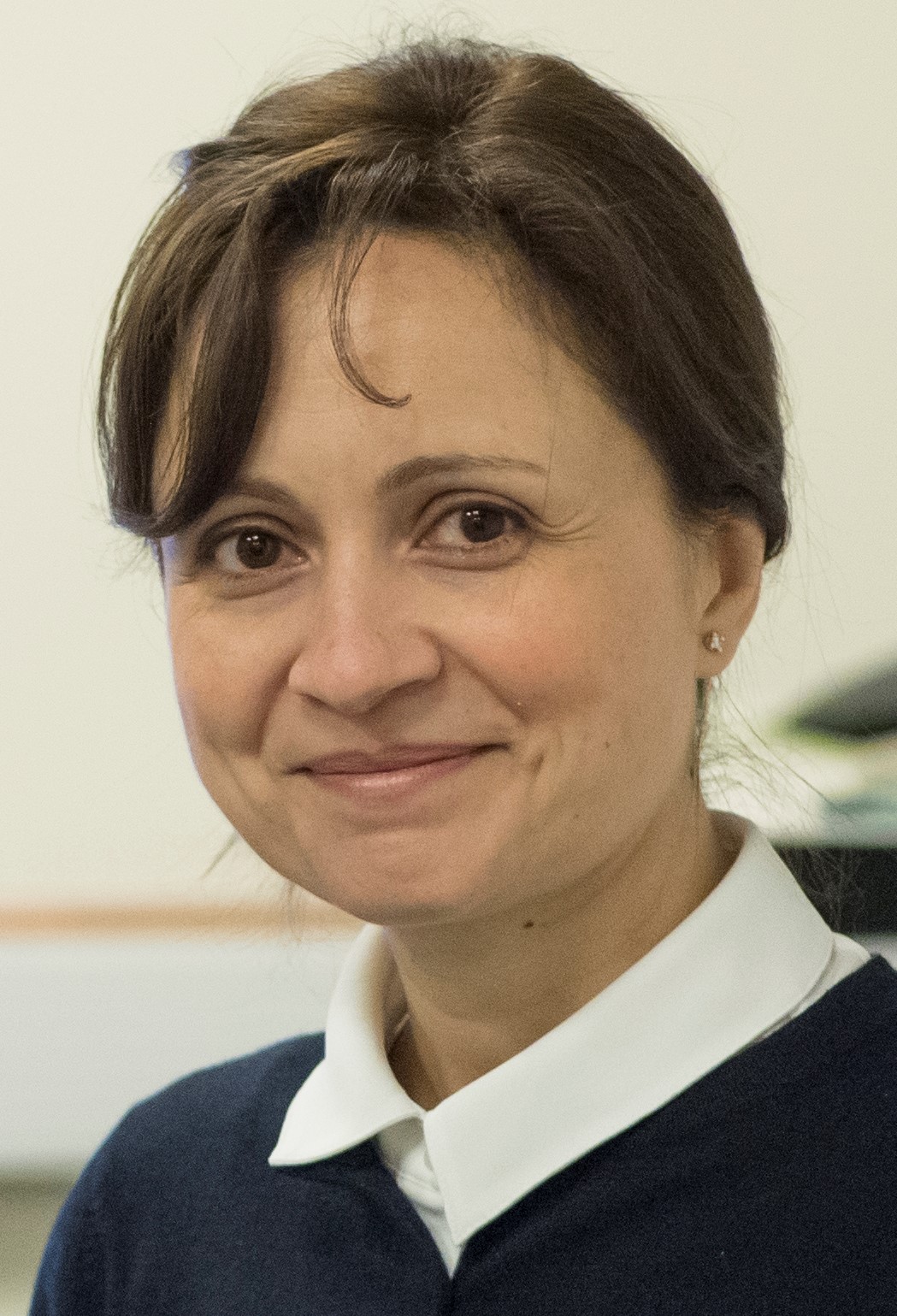 Professor Amalia Patanè - Henry Royce Institute